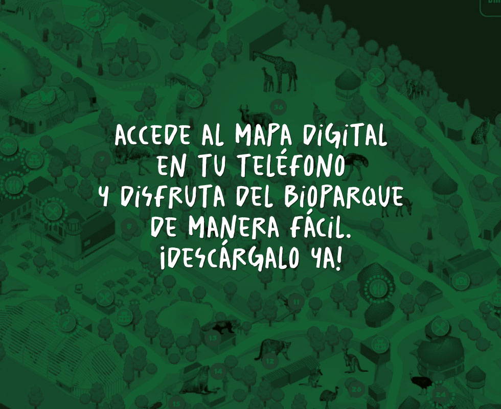 Buinzoo - DESCARGA TU MAPA